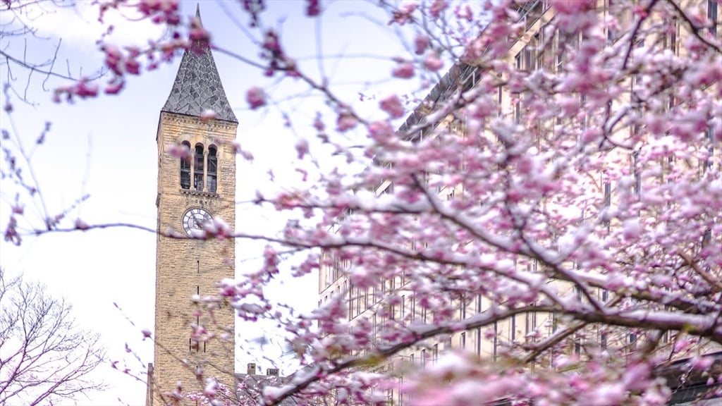 Cornell University - CWCCC Spring Meeting with speaker
