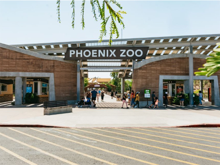DePaul University Alumni - Arizona Alumni Chapter Pheonix Zoo Family ...