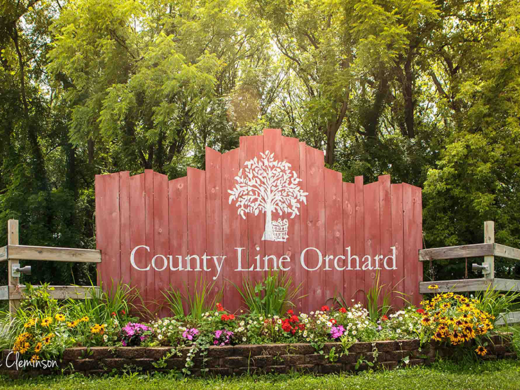 DePaul University Alumni - County Line Orchard Outing