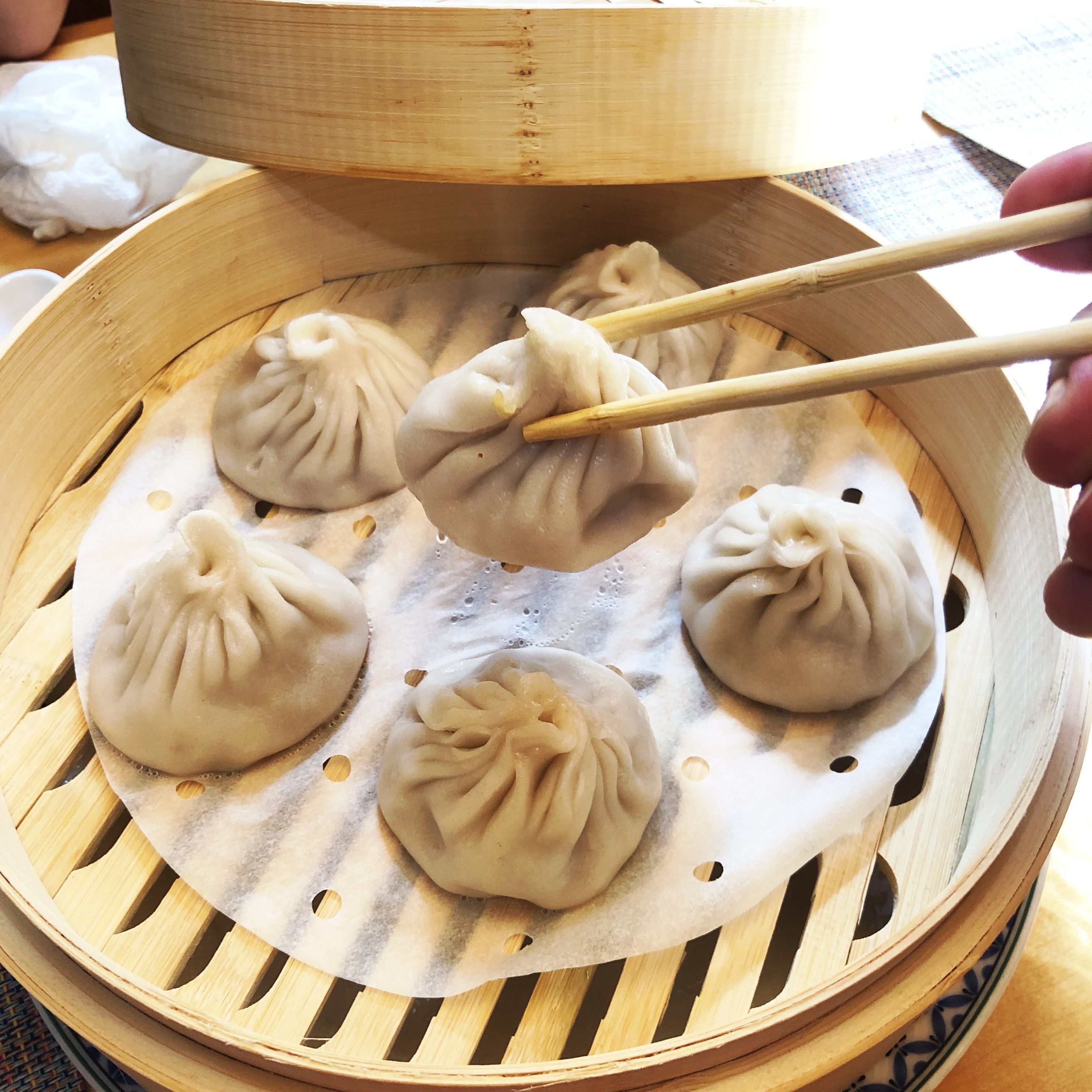 DePaul University Alumni - APIDA Alumni Chapter: Dumpling Making Class